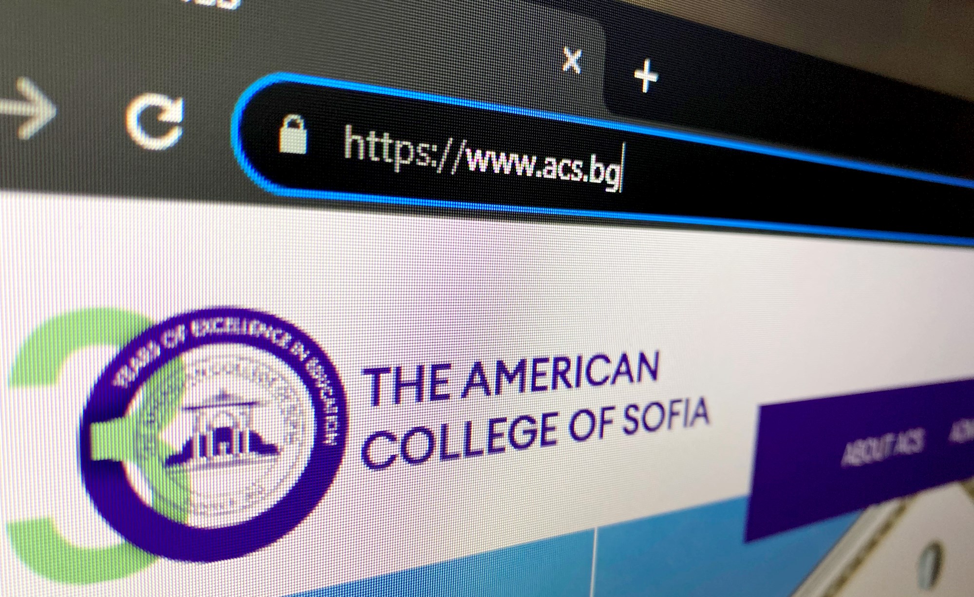 Bidding Procedure for a Website Provider - ACS